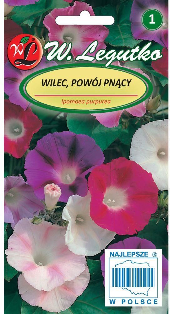 Wilec Powój Pnący Mieszanka Legutko 2G - Ceny i opinie - Ceneo.pl