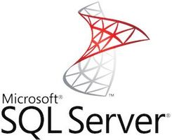 Programy serwerowe Microsoft SQL Server Standard 2022 - 2 Core License ...