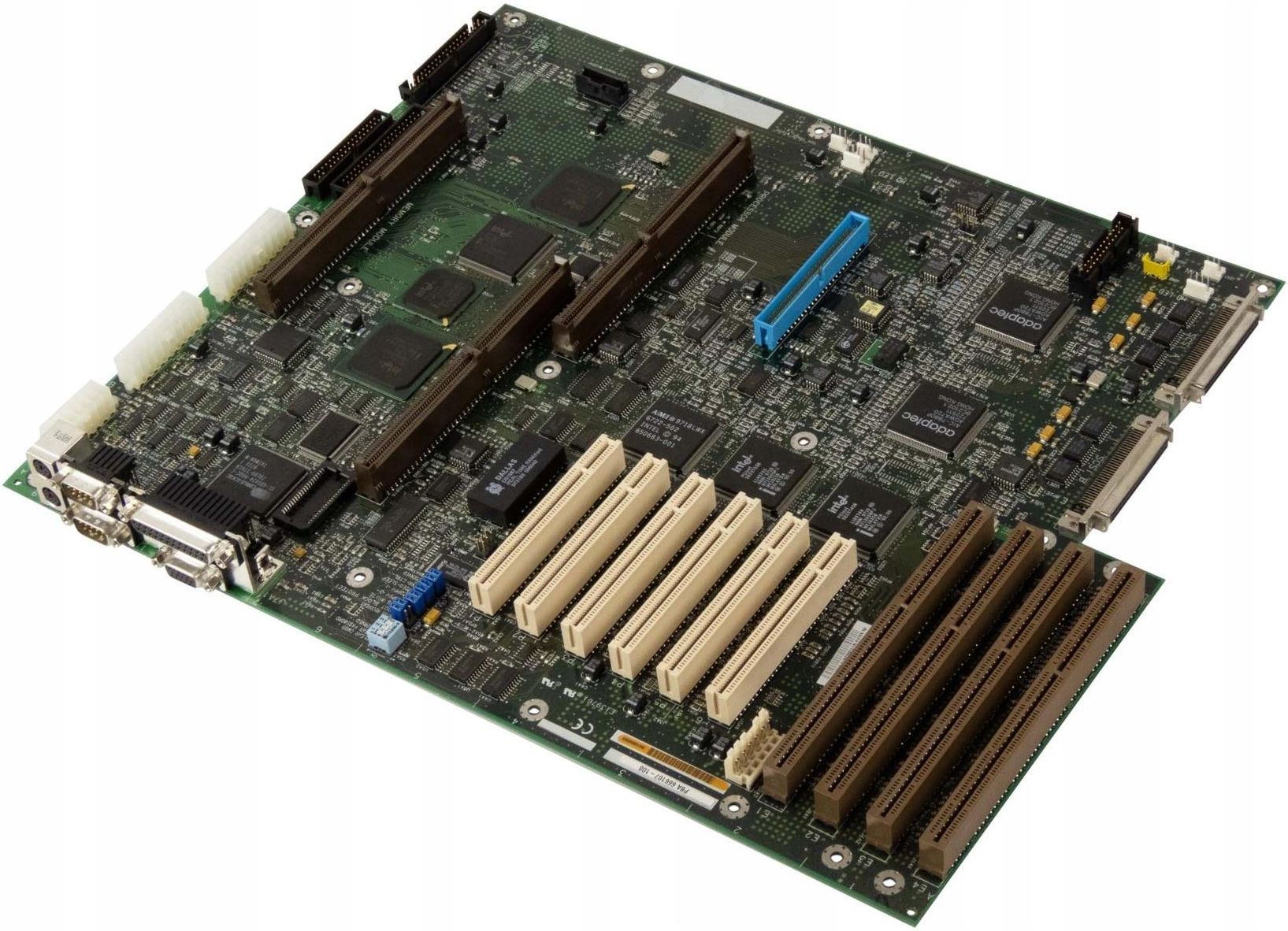 Ibm Pci Scsi Netfinity 7000 (01K7075) - Opinie i ceny na Ceneo.pl