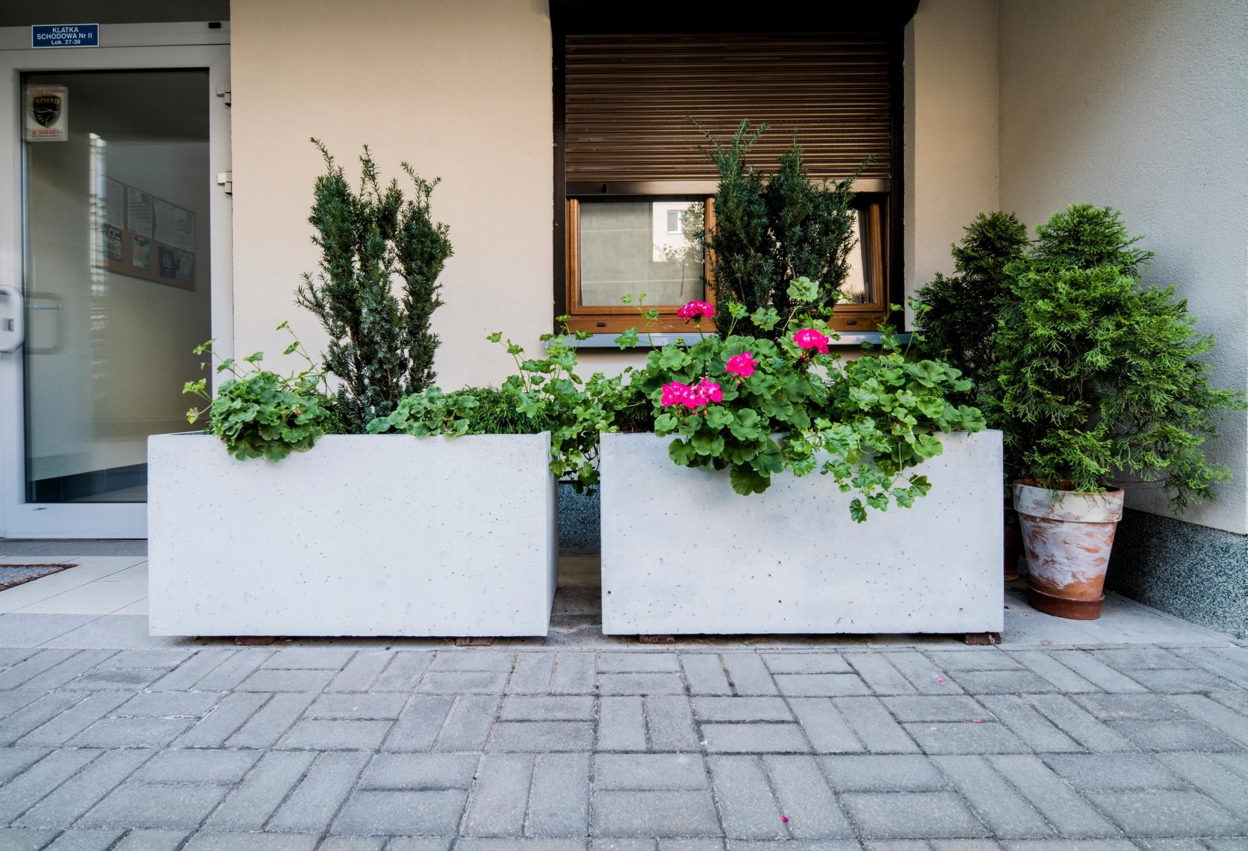 Modern Concrete Donica Betonowa 100X50X50 Beton Architektoniczny - Ceny ...