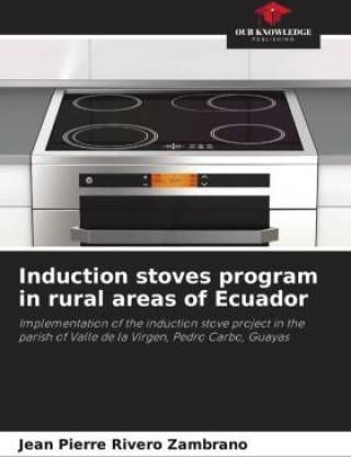 Induction stoves program in rural areas of Ecuador - Literatura ...