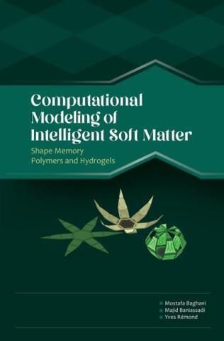 Computational Modeling of Intelligent Soft Matter - Literatura obcojęzyczna - Ceny i opinie ...