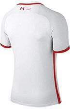 Nike NTF Brand Męska Koszulka Sevilla Home 2018/2019, Biała, S - Ceny i ...