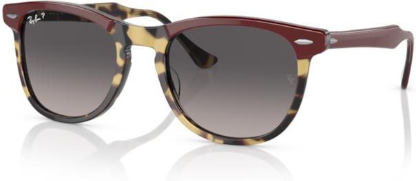 Okulary Przeciwsłoneczne Ray Ban RB 2398 Eagleeye 1377M3 - Ceny i ...