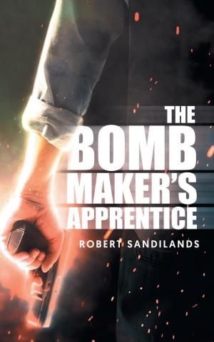 The Bomb Maker's Apprentice - Literatura obcojęzyczna - Ceny i opinie ...