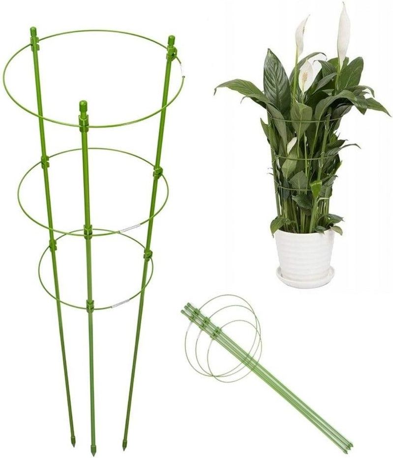 Podpora Pierścieniowa Do Roślin Kwiatów Podpórka - Ceny i opinie - Ceneo.pl