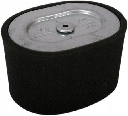 Filtr Powietrza B&S Xr2100 799818 Oryginał - Ceny i opinie - Ceneo.pl