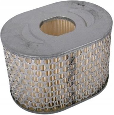 Filtr Powietrza B&S Xr2100 799818 Oryginał - Ceny i opinie - Ceneo.pl