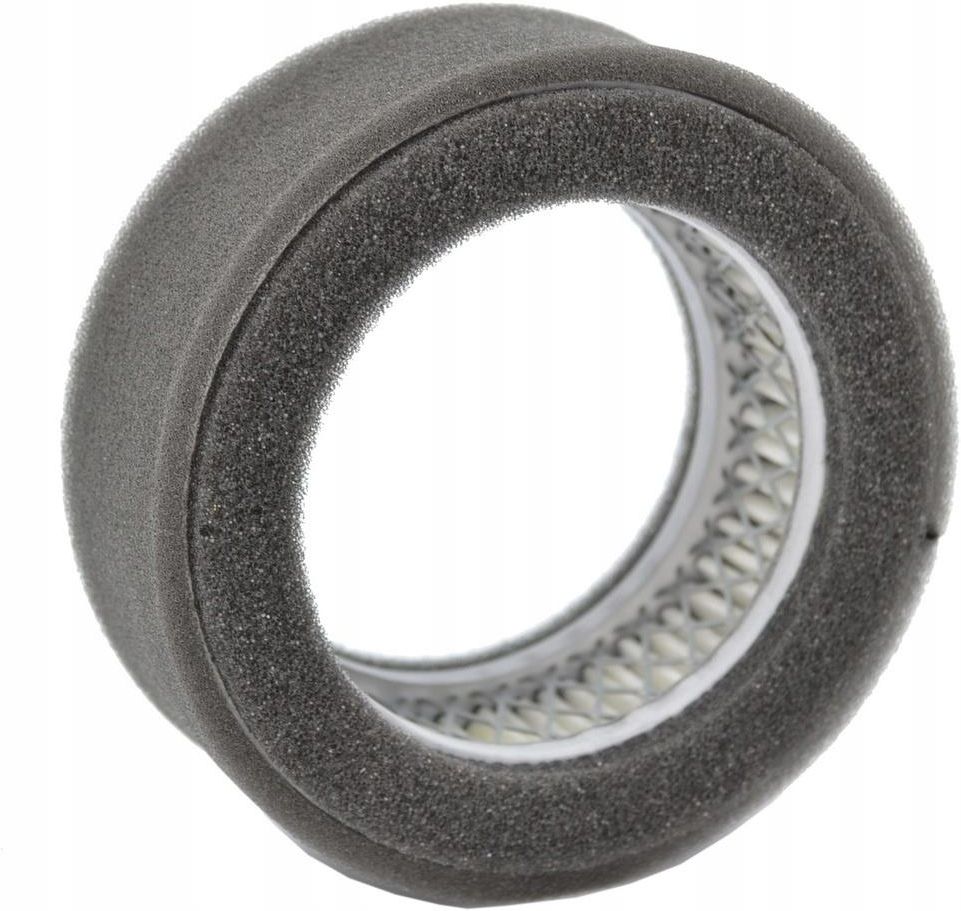 Filtr Powietrza Robin Ec-12 Eh-12 252-32601-07 - Ceny i opinie - Ceneo.pl