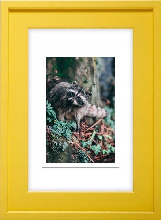 Ramka tradycyjna Fabryka Ramek Ramka Na Zdjęcia Żółta Rama A4 21X30 Cm ...