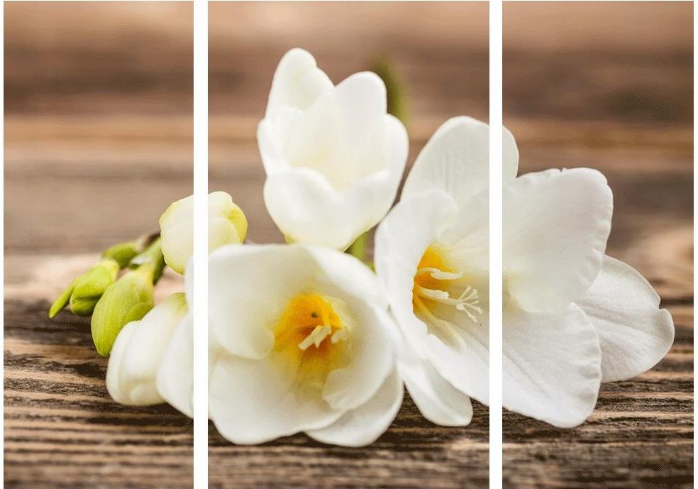 Obrazy Do Salonu Tryptyk T97 Br 62766C89-Dc1F-41Fc-Ab7A-510599C5C704 ...