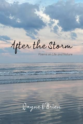 After the Storm - Literatura obcojęzyczna - Ceny i opinie - Ceneo.pl