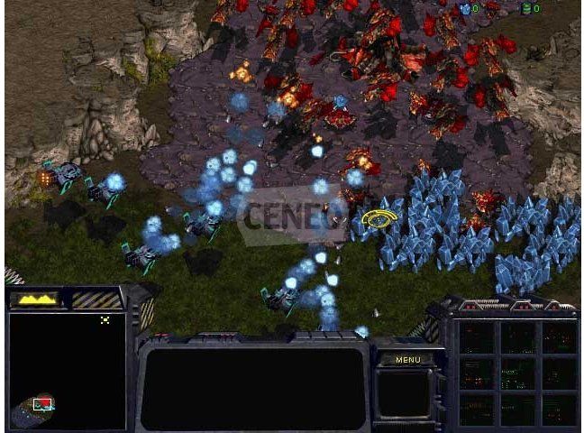 StarCraft + StarCraft Brood War (Gra PC) - Ceneo.pl