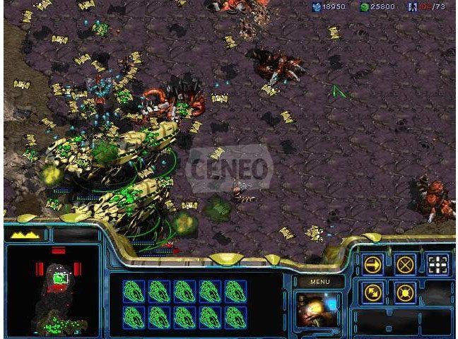 StarCraft + StarCraft Brood War (Gra PC) - Ceneo.pl