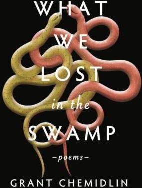 What We Lost in the Swamp: Poems - Literatura obcojęzyczna - Ceny i opinie - Ceneo.pl