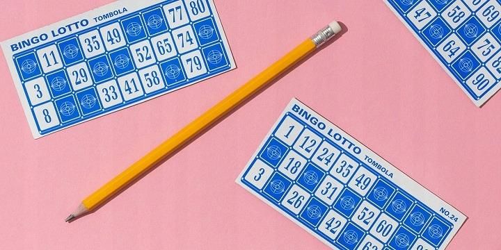 Lotto Bingo Loteria - Gra dla dziecka - Ceny i opinie - Ceneo.pl