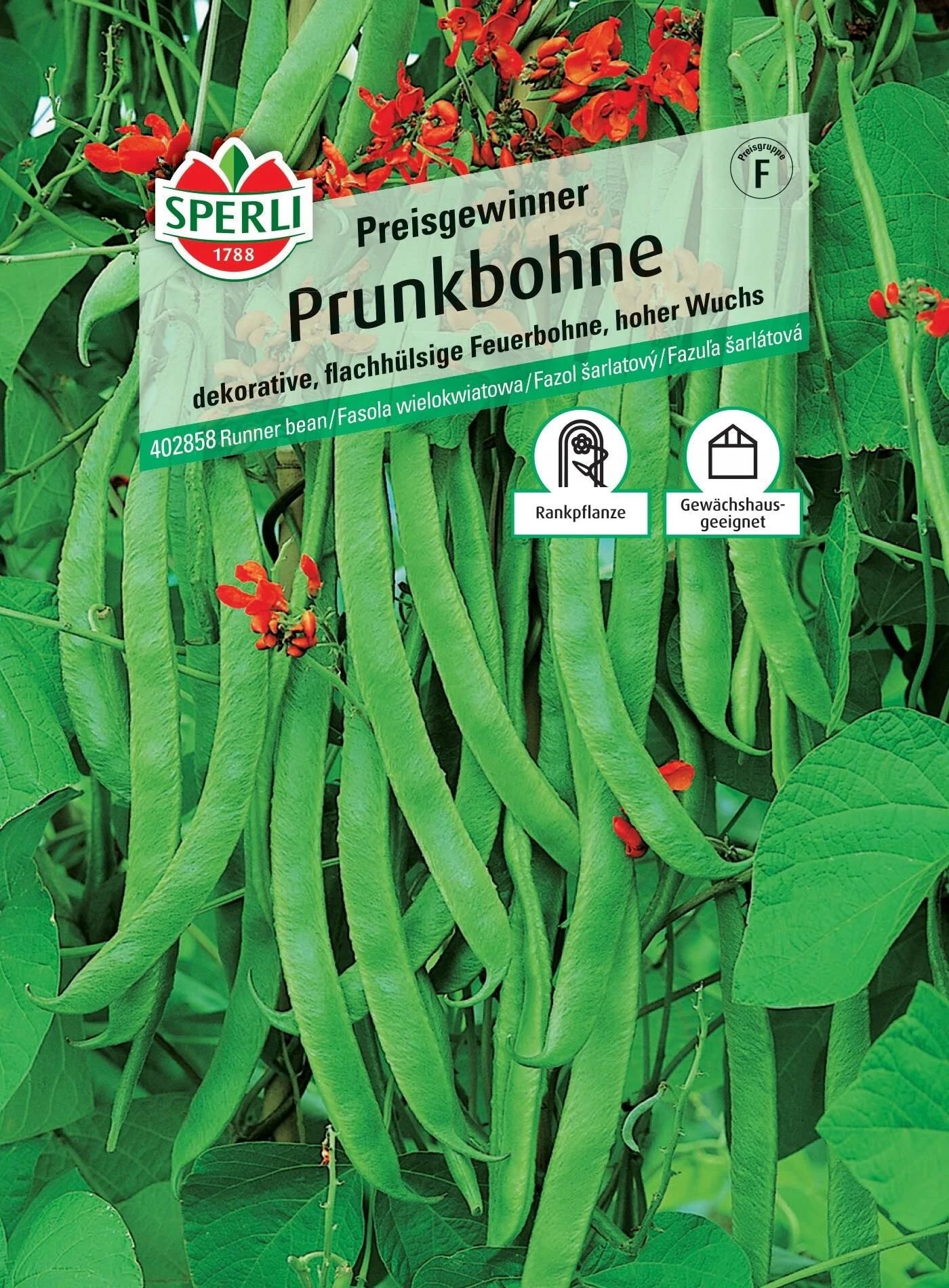 Fasola Wielokwiatowa Preisgewinner Premium Sperli - Ceny i opinie ...