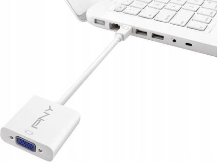 Pny Adapter Minidp To Vga Apple - Opinie i ceny na Ceneo.pl