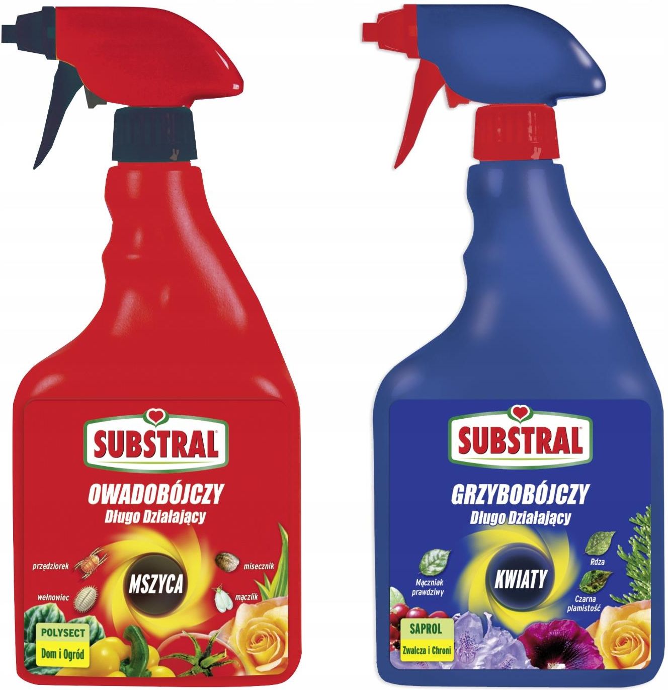 Substral Zestaw Grzybobójczy I Owadobójczy - Ceny i opinie - Ceneo.pl