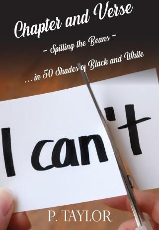 Chapter and Verse - Literatura obcojęzyczna - Ceny i opinie - Ceneo.pl