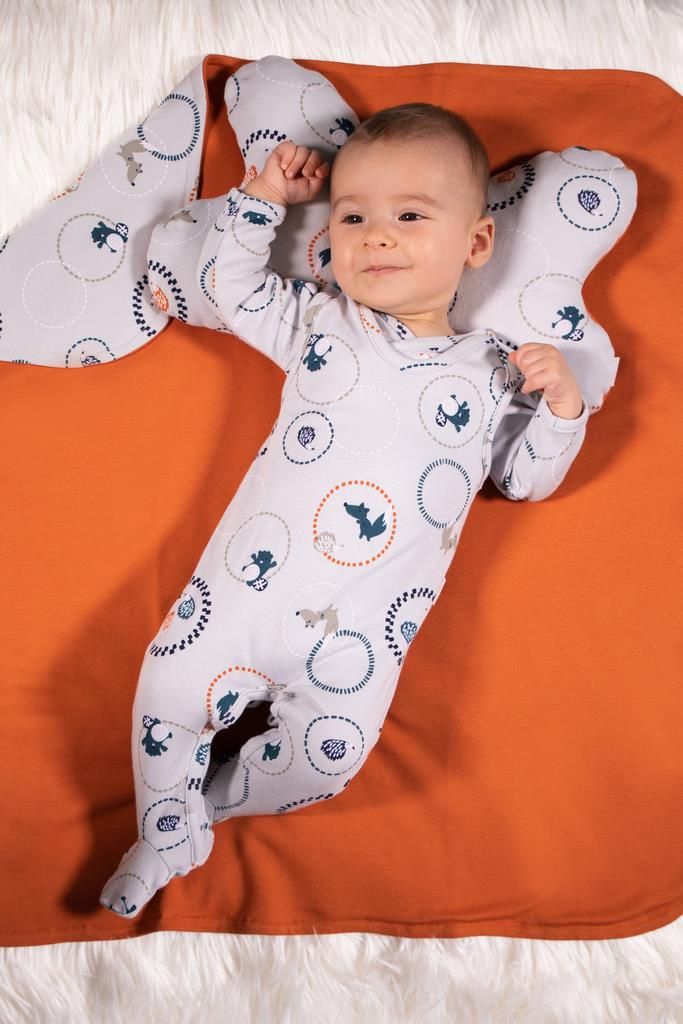 Śpiochy bawełniane, chłopięce, jasnopopielate, FOX 68 - Ceny i opinie ...