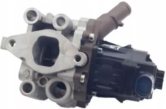 Oryginal Zawor Egr 5801365304 - Opinie i ceny na Ceneo.pl