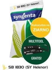SB1830 (SY Helenor) - 1 js. - Kukurydza na ziarno - Ceny i opinie ...
