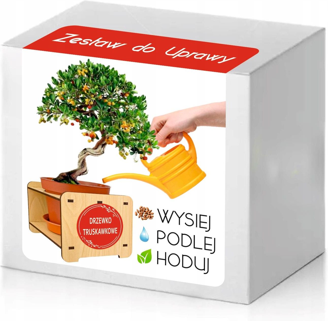 Zestaw Do Uprawy Bonsai Drzewko Truskawkowe Owoce - Ceny i opinie ...