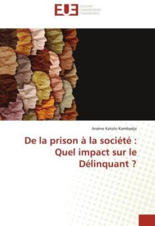 De la prison ? la société : Quel impact sur le Délinquant ...
