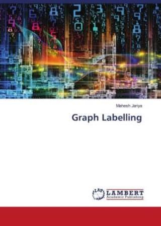 Graph Labelling - Literatura obcojęzyczna - Ceny i opinie - Ceneo.pl