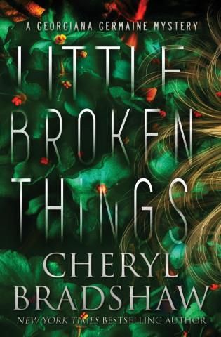 Little Broken Things - Literatura obcojęzyczna - Ceny i opinie - Ceneo.pl