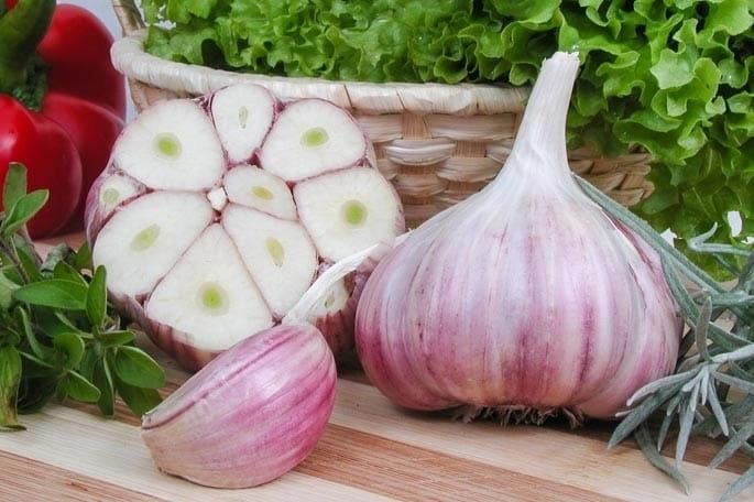 Polski Czosnek Wiosenny Jaruś 500G - Ceny i opinie - Ceneo.pl