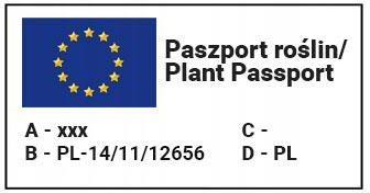 Surfinia Petunia Plus Popcorn Zestaw 6szt. Piękna - Ceny i opinie ...