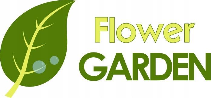 Róża Parkowa Anna Ancher Renaissance Pachnąca C4 - Ceny i opinie - Ceneo.pl