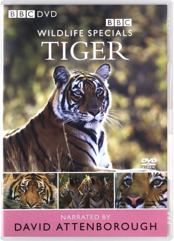 Film DVD Wildlife Specials Tiger (BBC) [DVD] - Ceny i opinie - Ceneo.pl
