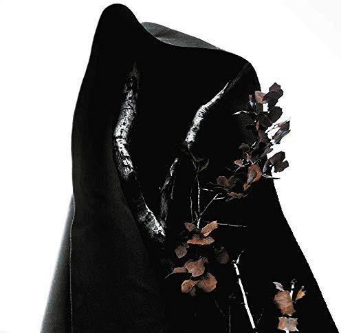 Płyta kompaktowa Process Of Guilt: Black Earth [CD] - Ceny i opinie ...