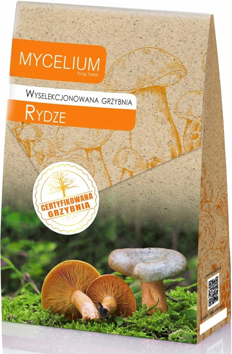 Rydze certyfikowana grzybnia grzyby leśne - Ceny i opinie - Ceneo.pl