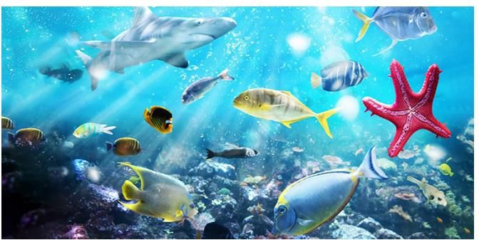 Ręcznik Plażowy 100X180 Błękitny Dno Oceanu 37798 - Opinie i atrakcyjne ...