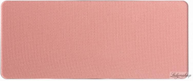 Pierre Rene Palette Match System Róż Do Palety Magnetycznej Wymienny ...