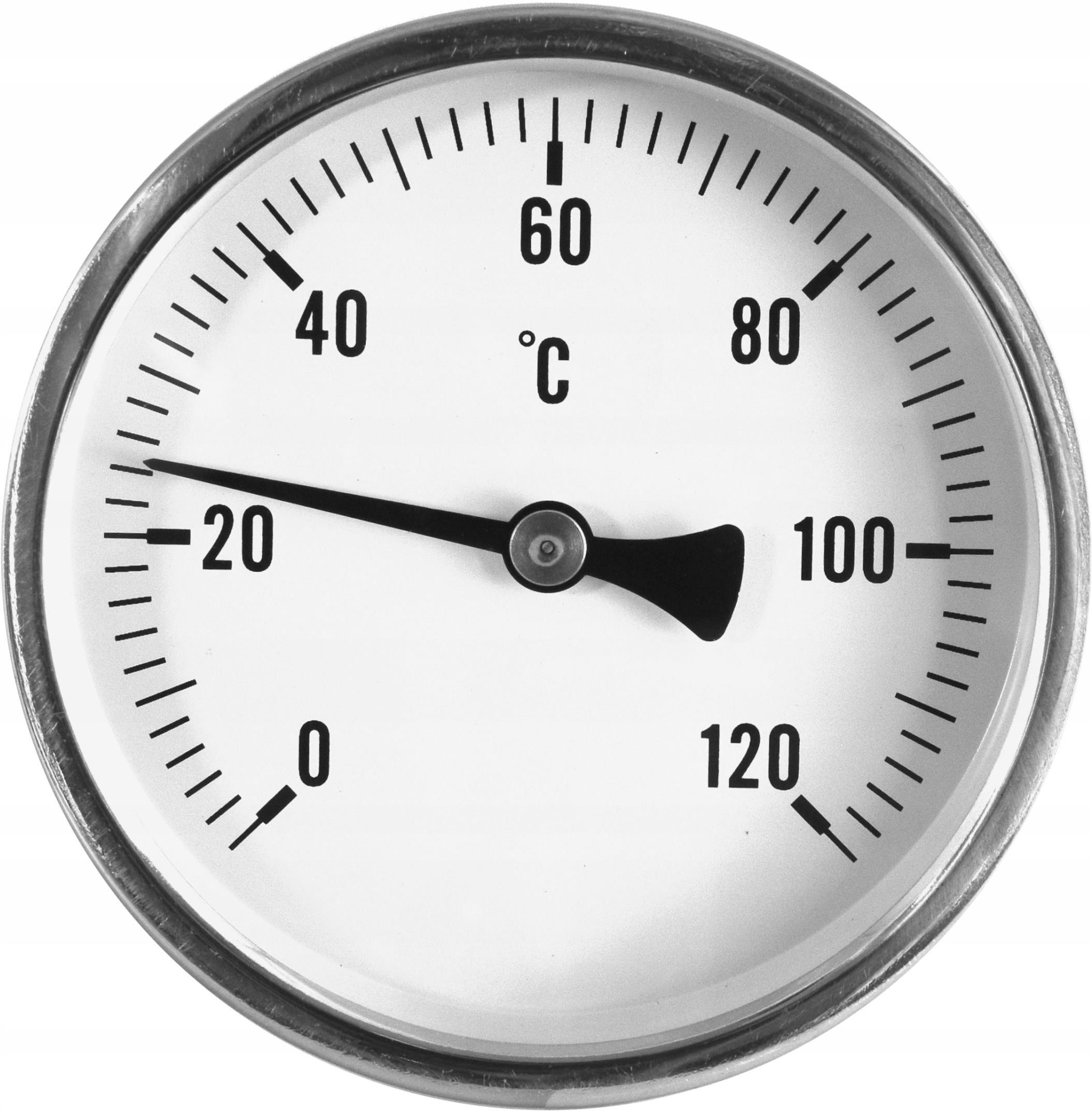 Esco Profesjonalny Termometr Fi100Mm Do Wędzarni 10Cm TPM03T100G12 ...
