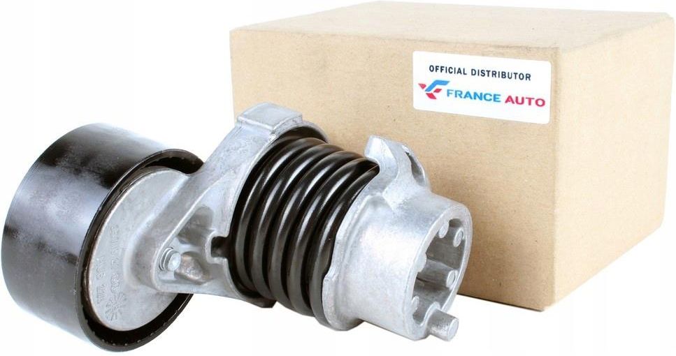 Renault Rolka Napinacza Paska Megane Scenic Iv Kadjar 12 - Opinie i ...