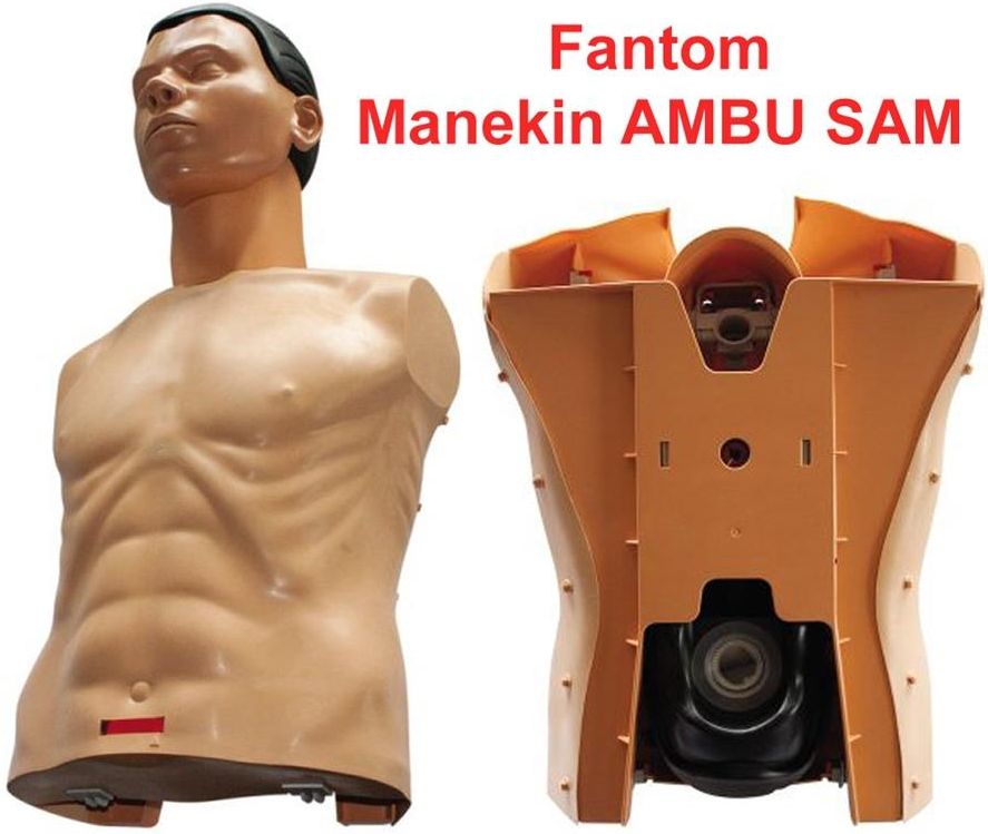Ambu Fantom Manekin Sam Ratownictwo Medyczne - Ceny i opinie - Ceneo.pl