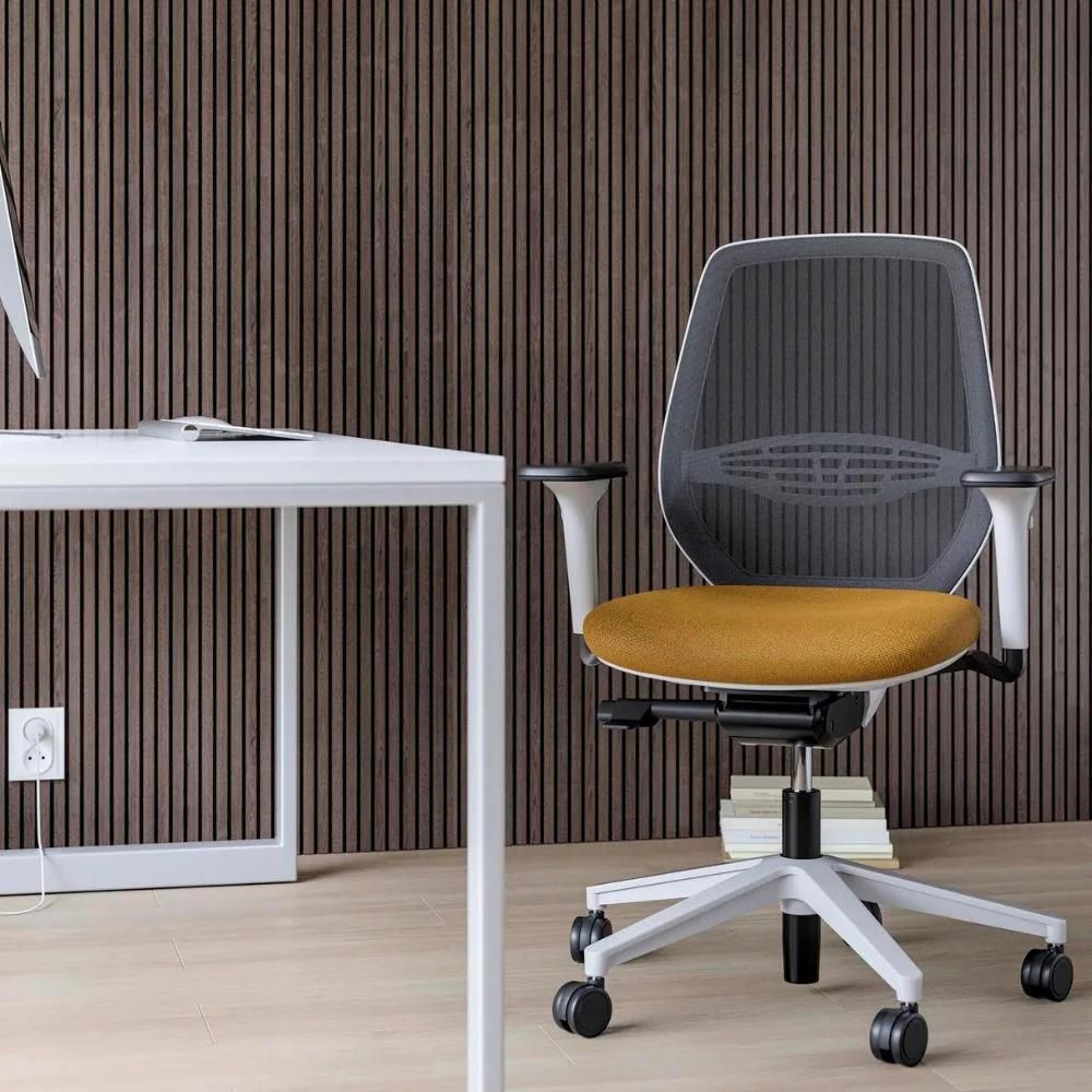 Bgroup Fotel Ergonomiczny Start Net Stnw Warianty - Opinie i atrakcyjne ...