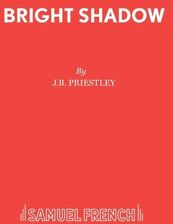 BRIGHT SHADOW - Literatura obcojęzyczna - Ceny i opinie - Ceneo.pl