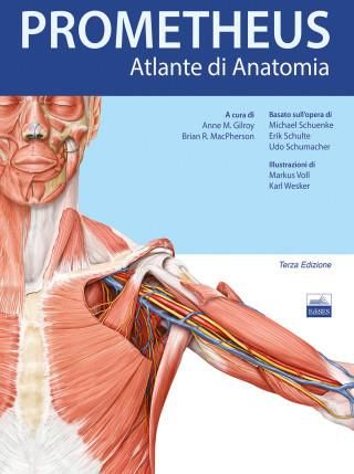 Prometheus. Altante di anatomia - Literatura obcojęzyczna - Ceny i ...