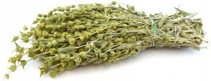 Farmvit Gojnik 50G - Opinie i ceny na Ceneo.pl