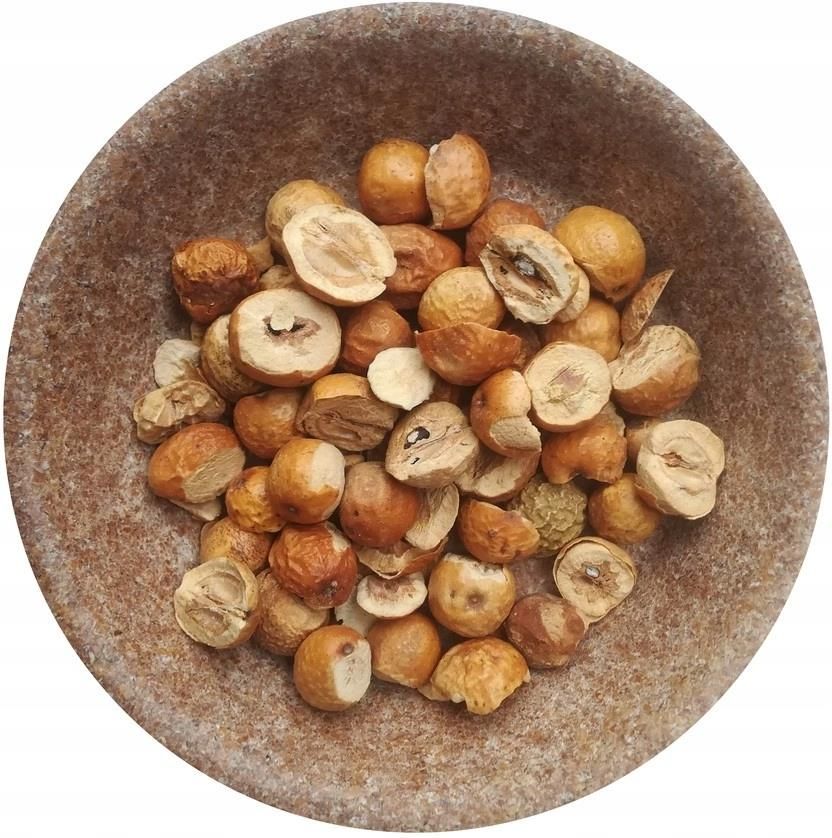 Plantago Chuan Lian Zi (Fructus Toosendan) owoc melii 50g - Opinie i ...