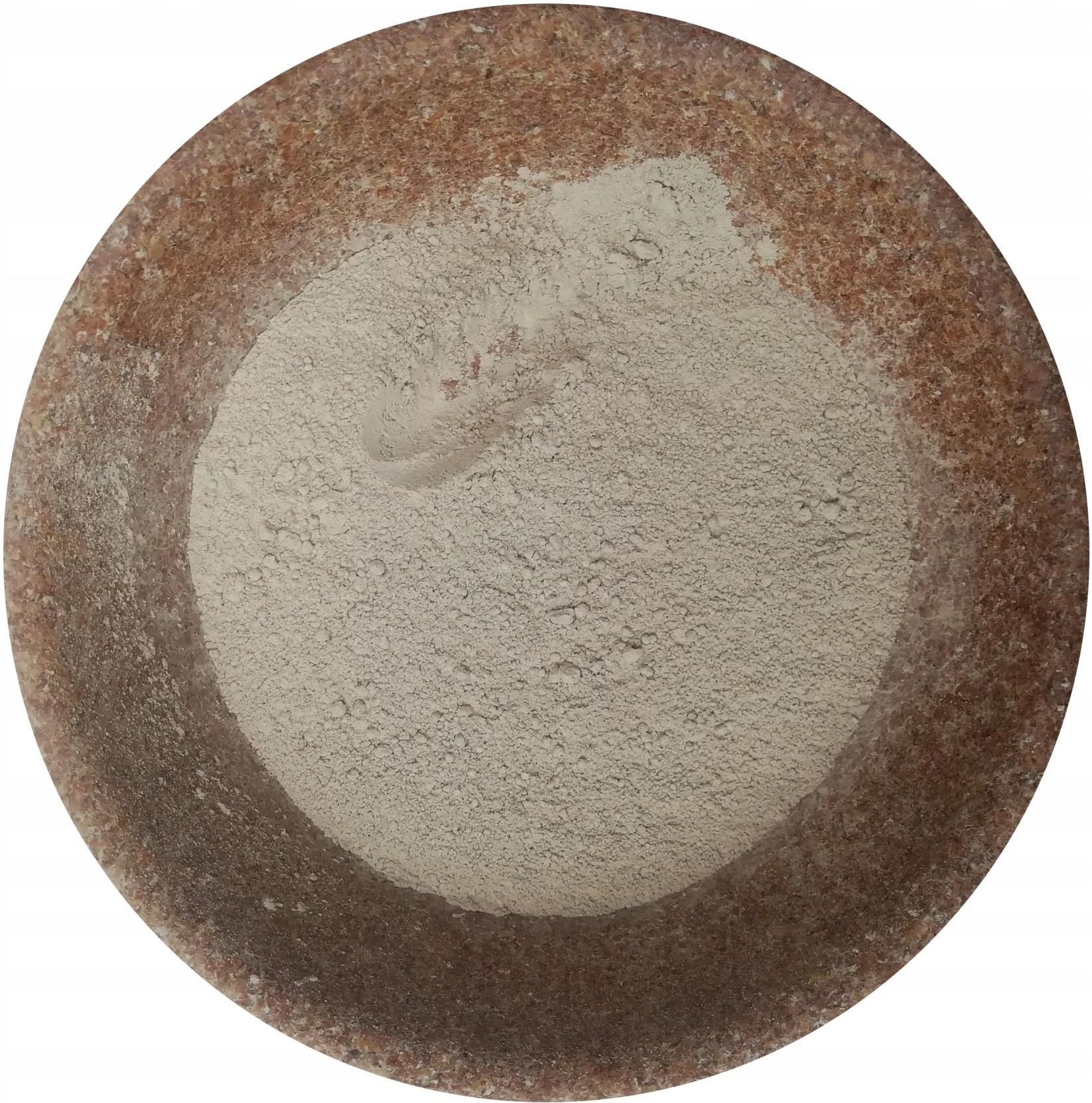 Plantago Ruszczyk kolczasty Ruscus aculeatus kłącze 100 - Opinie i ceny ...