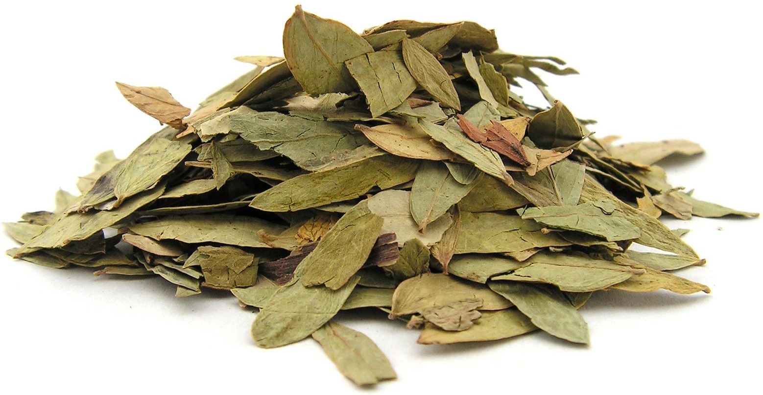 Aromatika Senes liść senesu 500 g - Opinie i ceny na Ceneo.pl