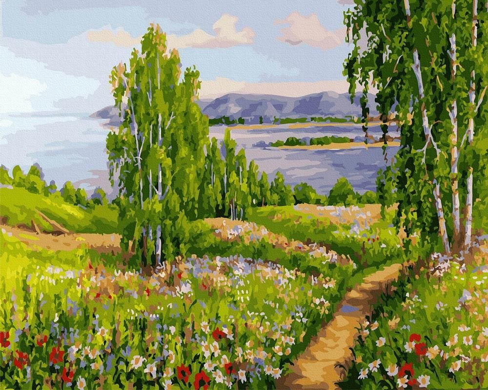 Picasso Obraz Do Malowania Po Numerach Ipicasso 40X50cm PC40501204 ...